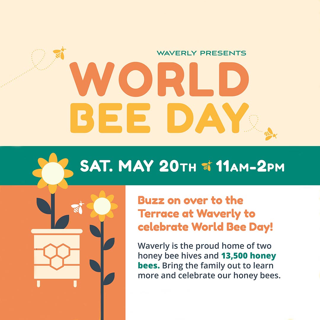 Waverly World Bee Day - Waverly CLT